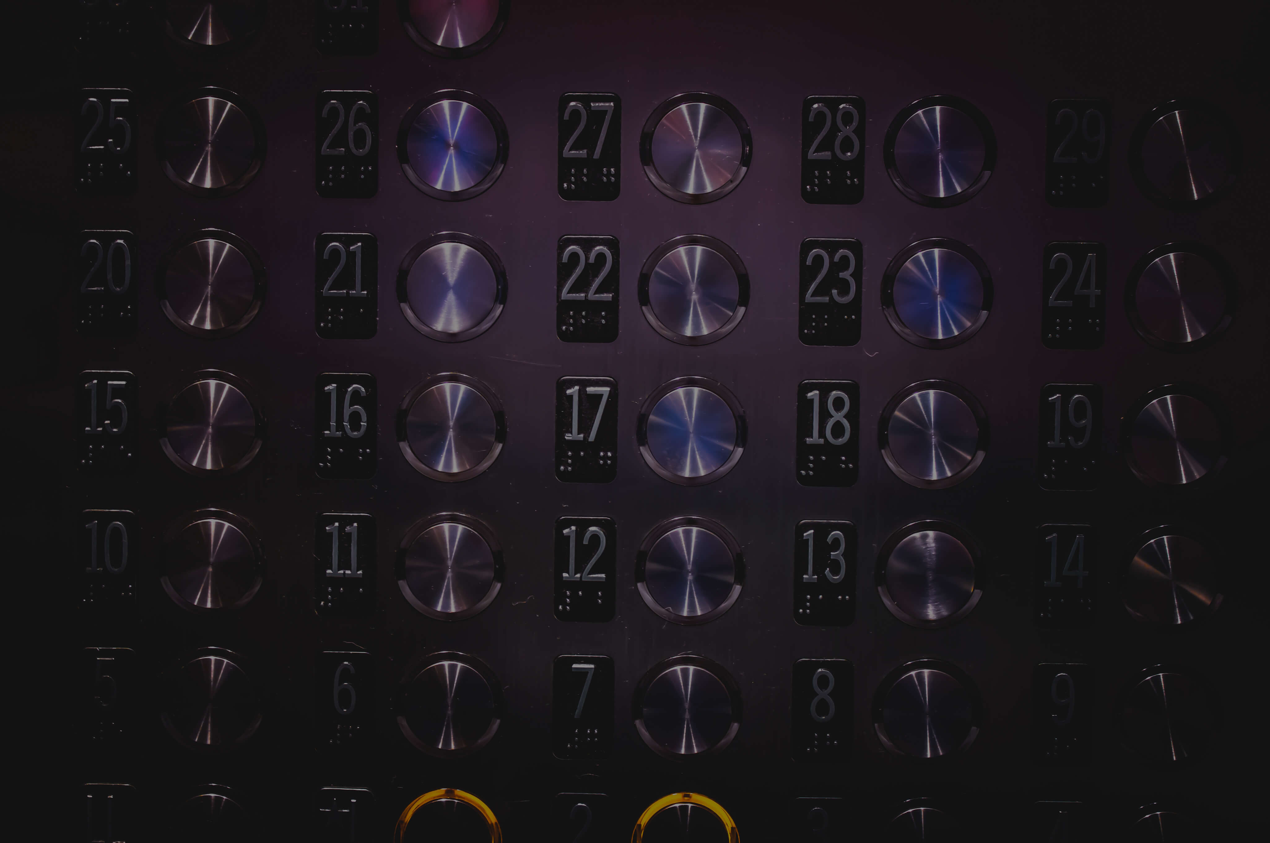 Expert Global Solutions Logo